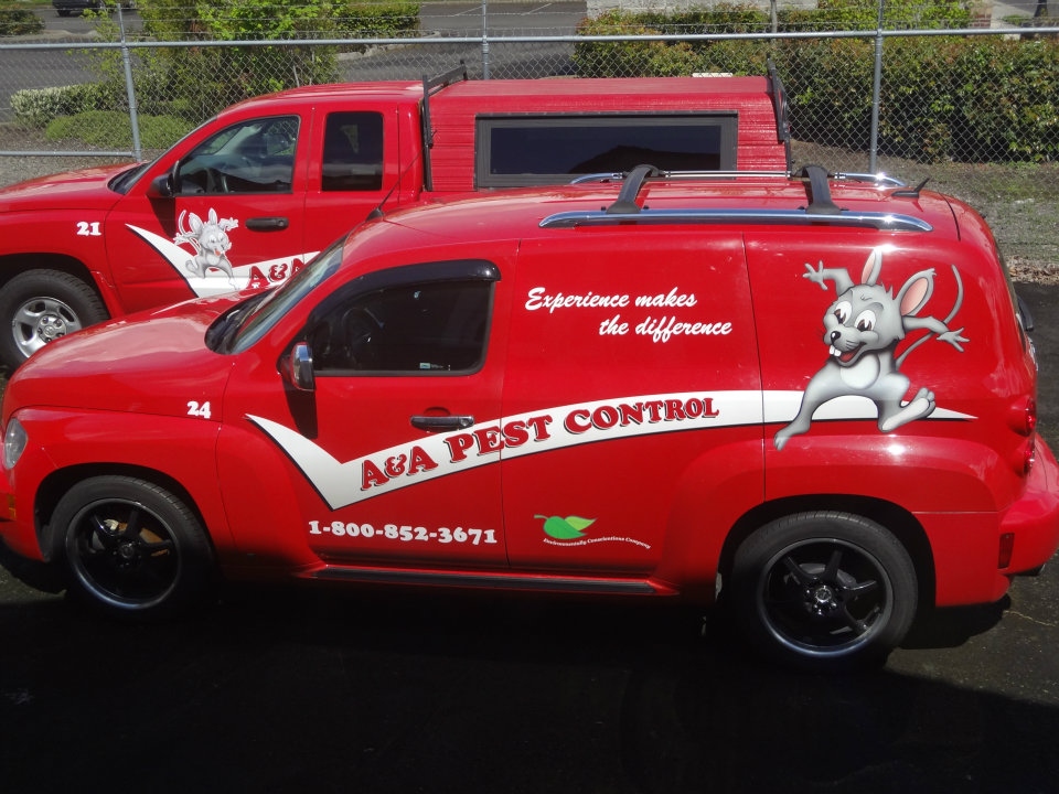 Flea Exterminator Portland, OR to Vancouver, WA | A&A